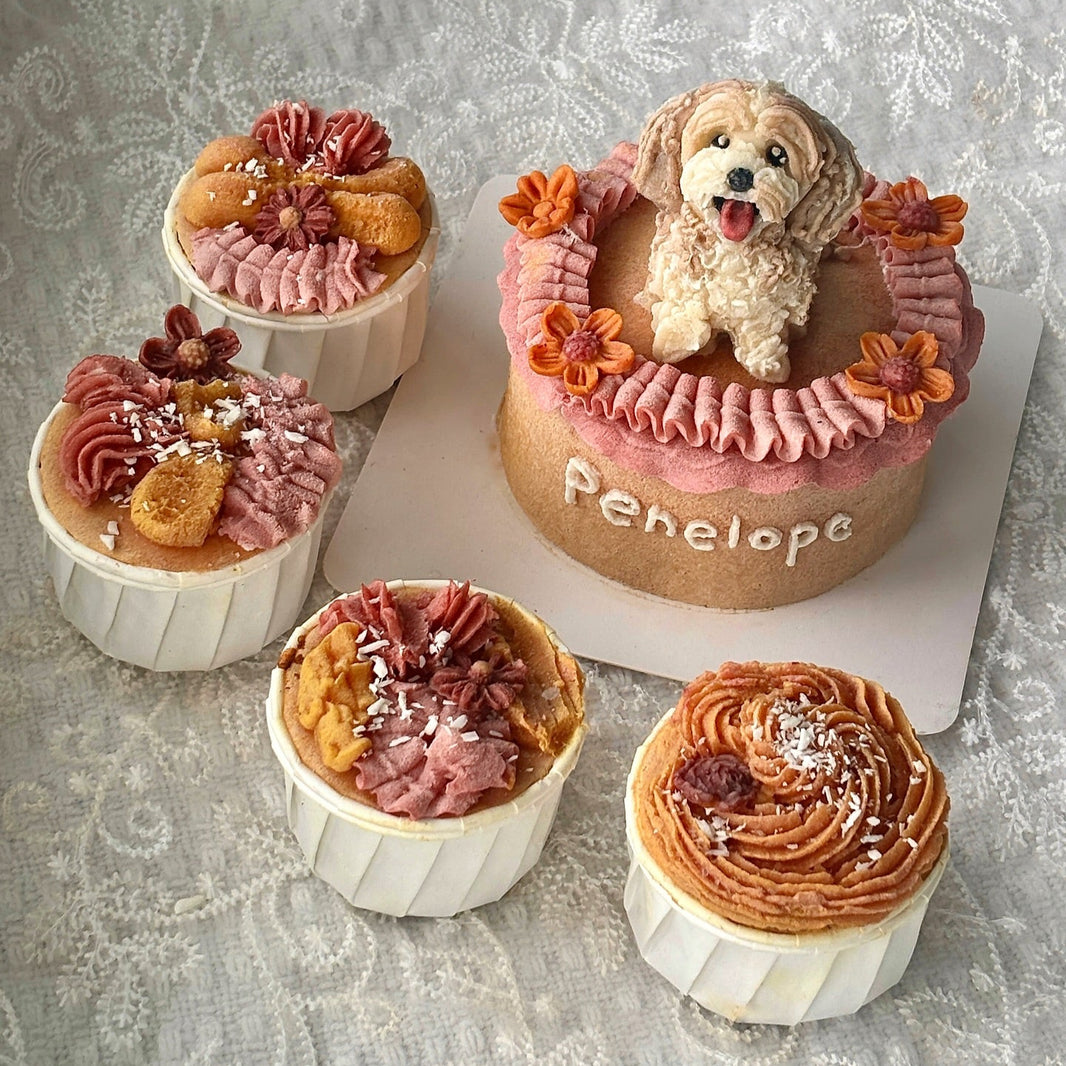JuJulet | Pet Bakery Toronto - Custom Dog Cakes & Treats – Jujulet Pet ...
