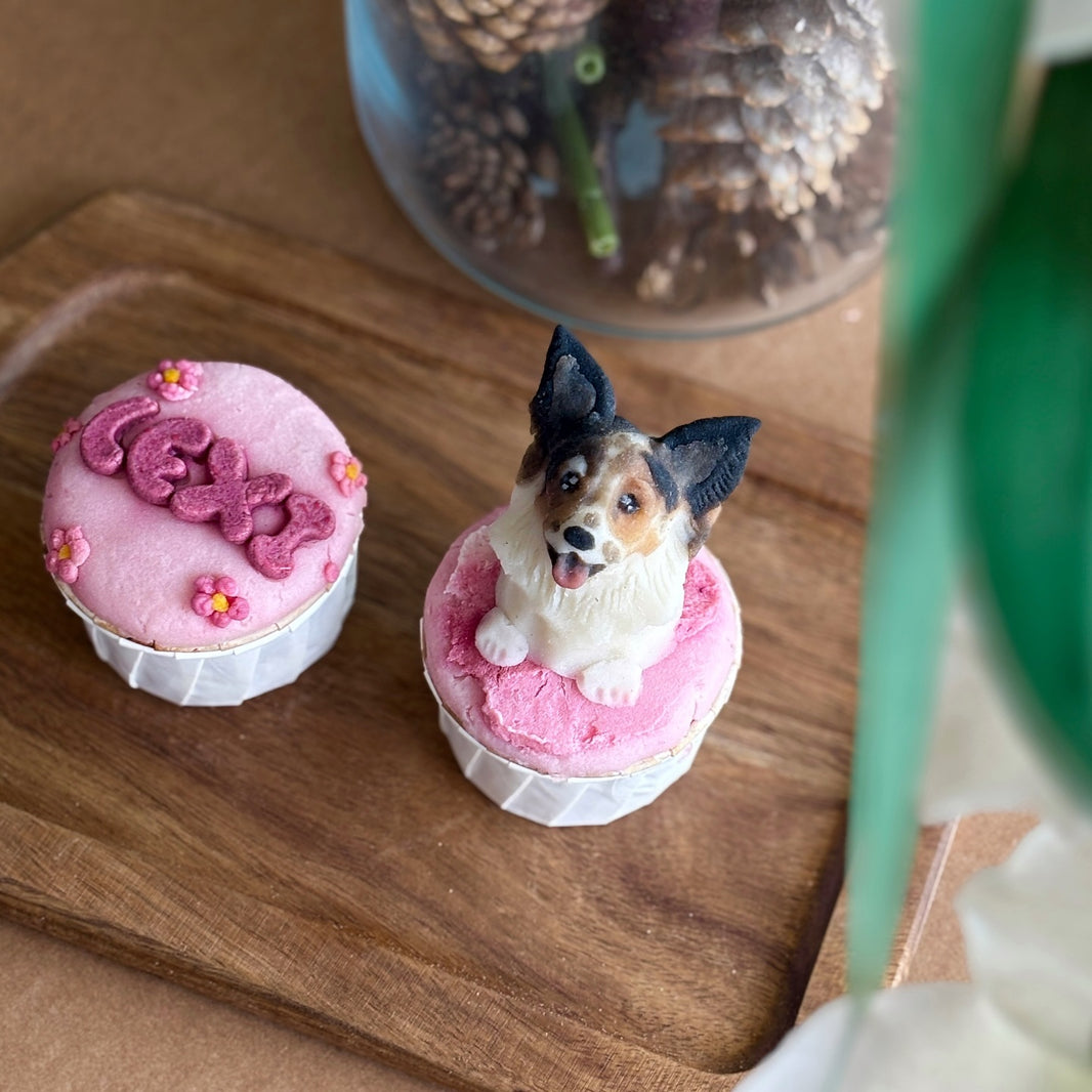 JuJulet | Pet Bakery Toronto - Custom Dog Cakes & Treats – Jujulet Pet ...